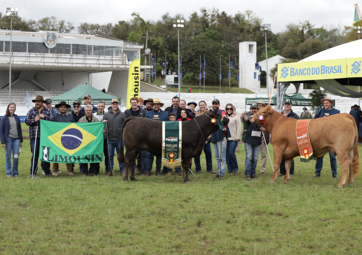 Site Oficial - Associação Brasileira de Limousin